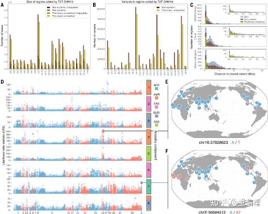 T2T基因组｜science-人T2T基因组促进遗传变异分析 - 知乎