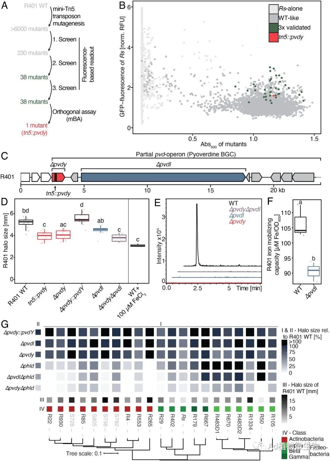 PNAS | 研究揭示让竞争微生物远离促使植物微生物群定殖的机制！ - 知乎