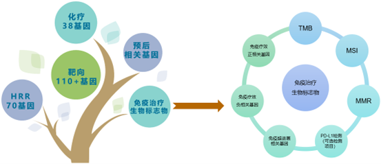 NGS小知识 ‖ NGS 大Panel临床检测价值知多少？ - 知乎