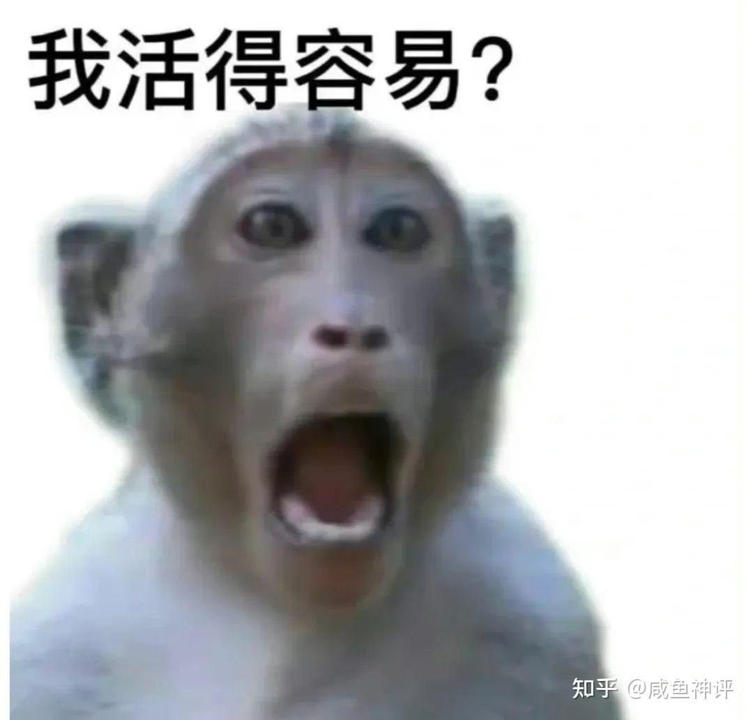 发点上班用的猴子表情包 - 知乎