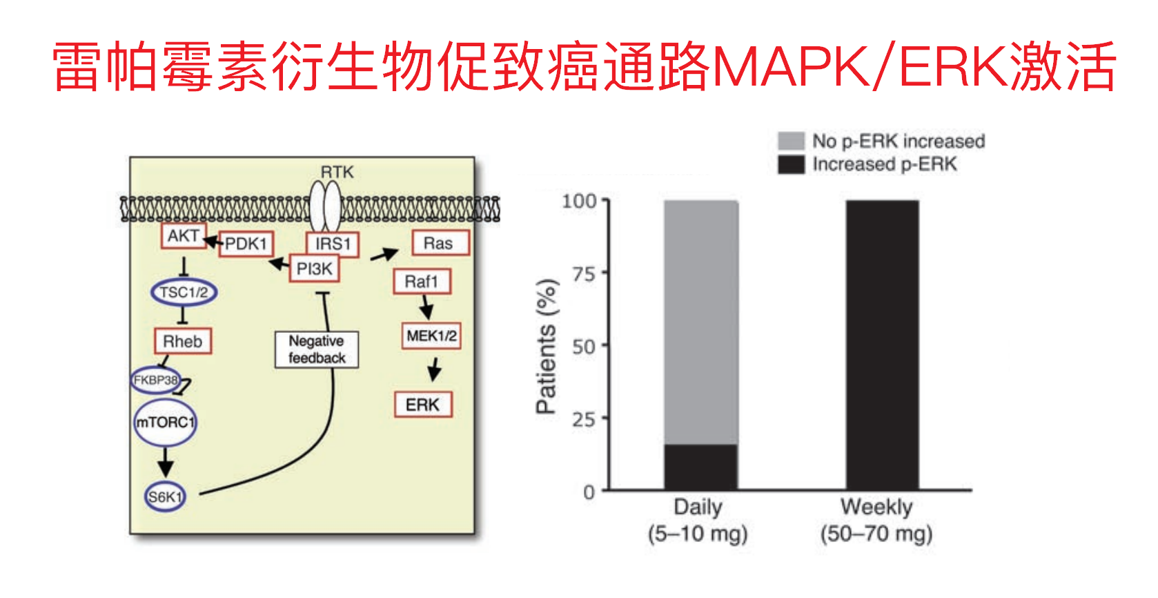 雷帕霉素(2)促癌：抑制mTOR反而促癌，是癌胞阴险还是神药无能？ - 知乎
