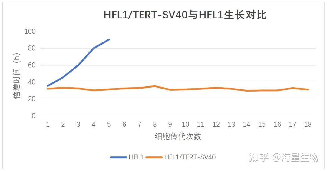 【海星第三代功能验证细胞库】HFL1永生化双引擎细胞-传代超20代 - 知乎