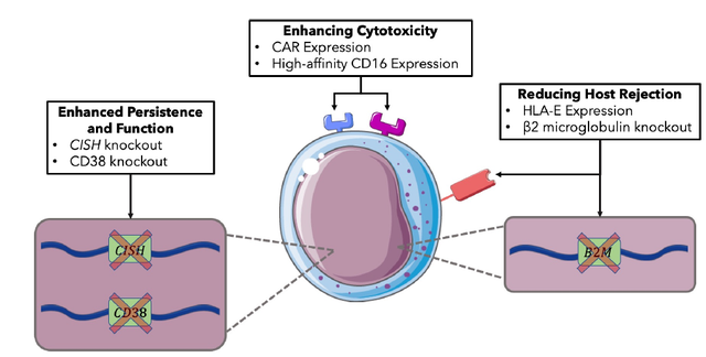 逐典分享丨iPSC商业简史：年轻赛道正在缔造医学神话 - 知乎