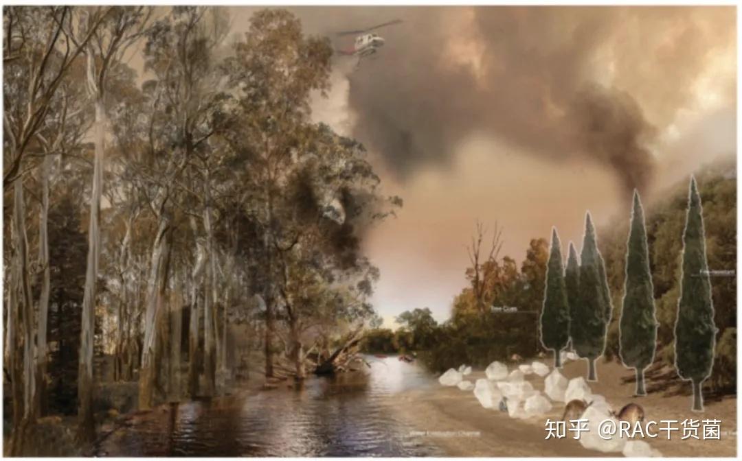 RAC重磅首发！2020ASLA学生奖公布，北大天大华南农安徽大等八校获奖，中国学生强势霸屏！！ - 知乎