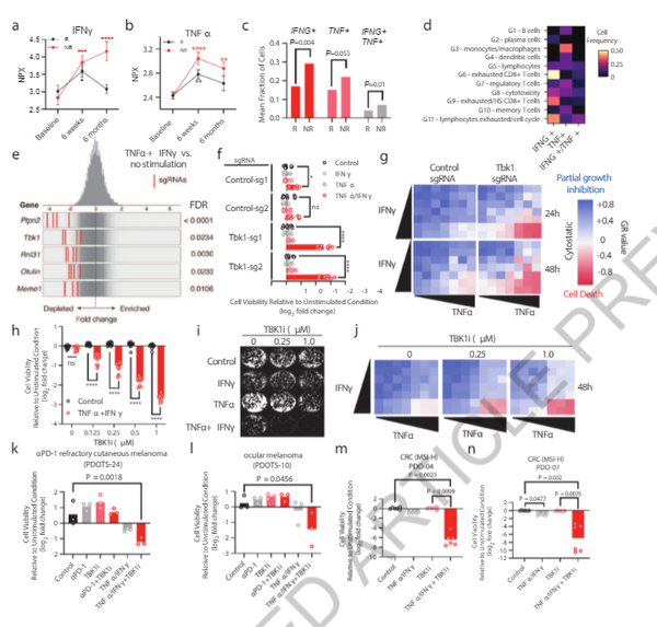 Nature | 靶向TBK1克服免疫疗法耐药性 - 知乎