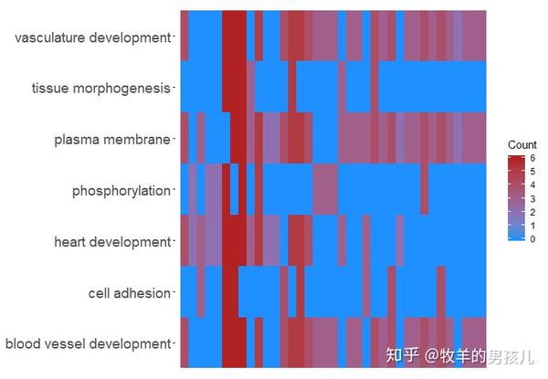 GO富集分析可视化：R语言GOplot包 - 知乎