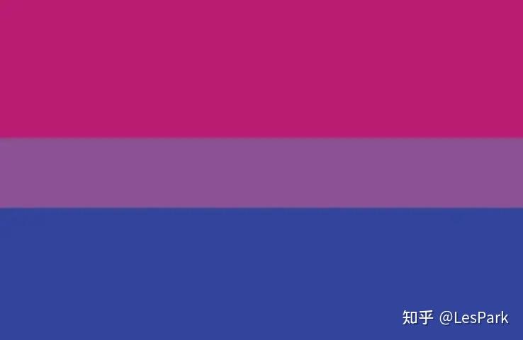 LGBT骄傲月|旗帜竟然有这么多种？你认识几种？ - 知乎