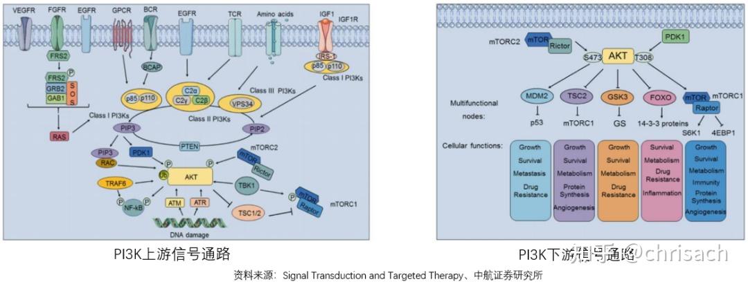伊那利塞/Inavolisib获FDA批准上市用于乳腺癌成人患者的治疗 - 知乎