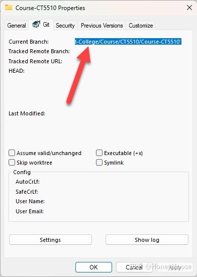 Git 对项目更新的时候提示错误 repository not owned by current user - 知乎