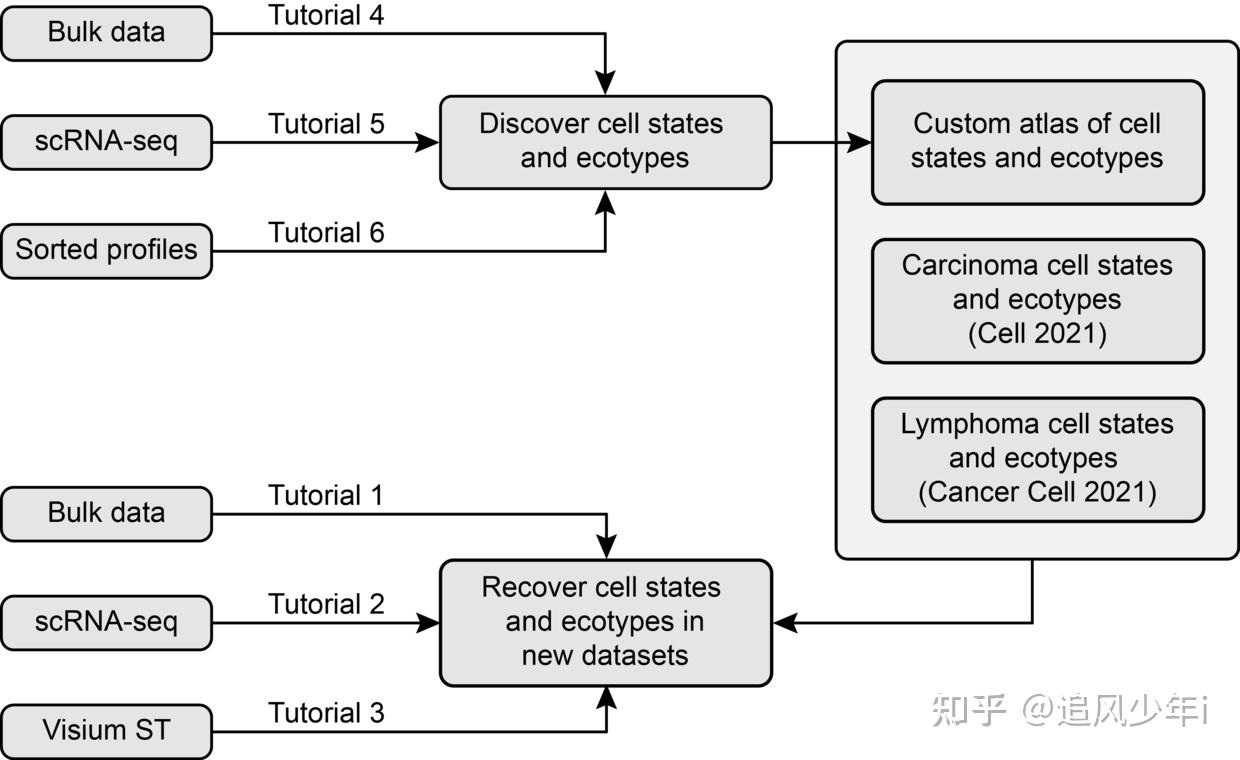 10X单细胞空间数据分析之表征细胞状态和生态型（EcoTyper示例代码） - 知乎