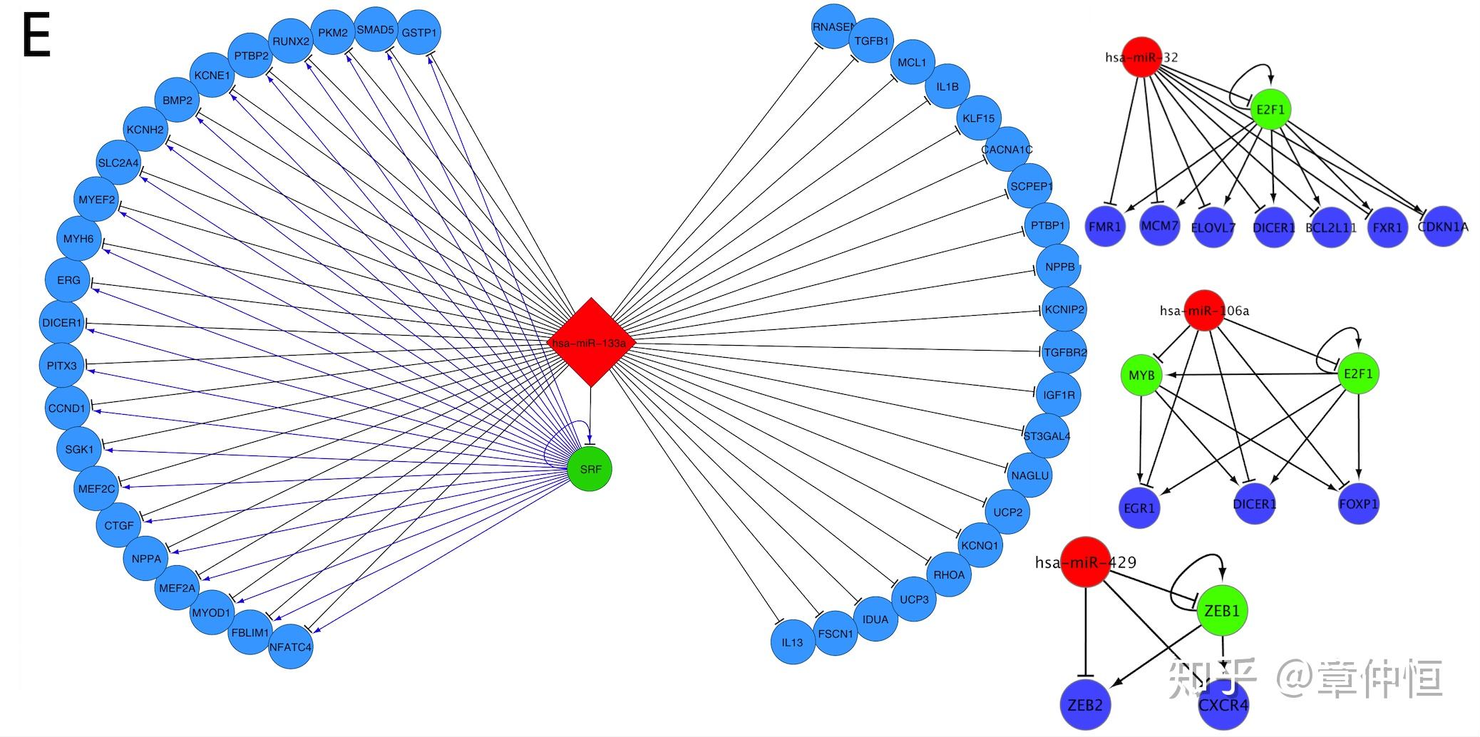 iRegulon：从基因列表到调控网络 - 知乎