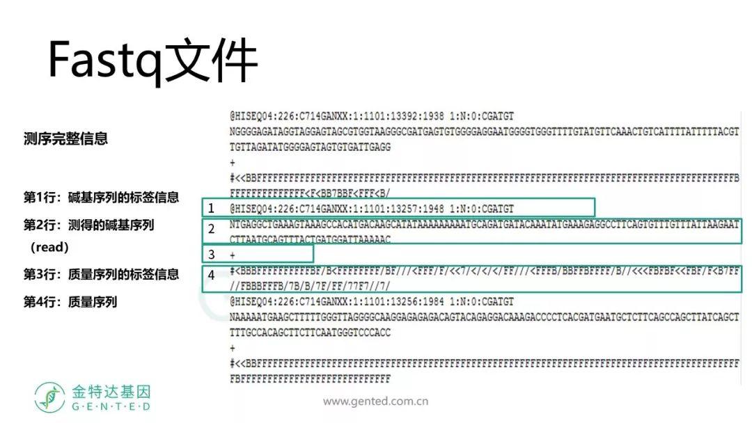 小L生信学习日记-2丨生信入门必知背景知识 - 知乎
