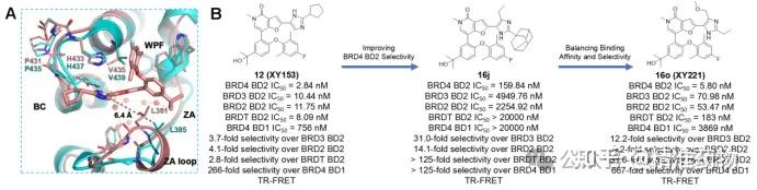 【J Med Chem】广州健康院许永团队报道首个选择性BRD4 BD2抑制剂，有望用于急性髓系白血病治疗 - 知乎
