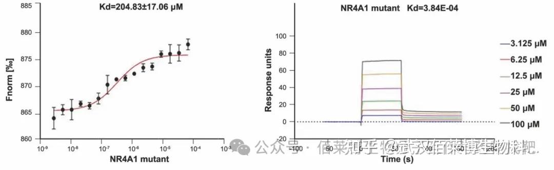 以靶找药高分分享：分子对接+SPR+MST+BLI+CETSA+DARTS全流程互作验证 - 知乎