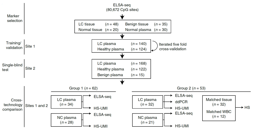 燃石黑科技再次迎来高光时刻 | 泛癌种早检技术ELSA-seq获《自然·生物医学工程》发表 - 知乎
