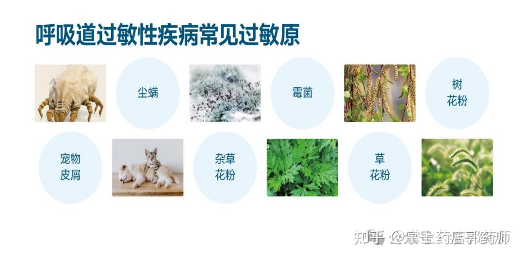 过敏原舌下免疫治疗ORALTEK/欧脱克舌下喷雾剂说明书-使用方法-上市-香港&博鳌版-注意事项-适应人群 - 知乎