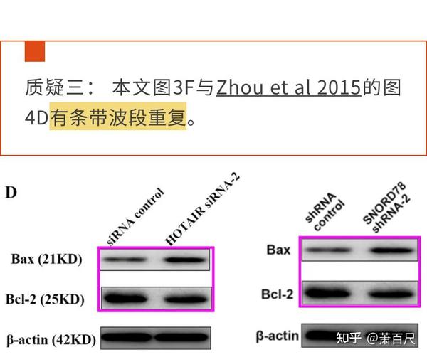 上海中山医院与肺科医院发表的论文被指多图重复，真实性令人怀疑 - 知乎
