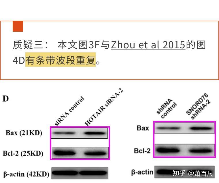 上海中山医院与肺科医院发表的论文被指多图重复，真实性令人怀疑 - 知乎
