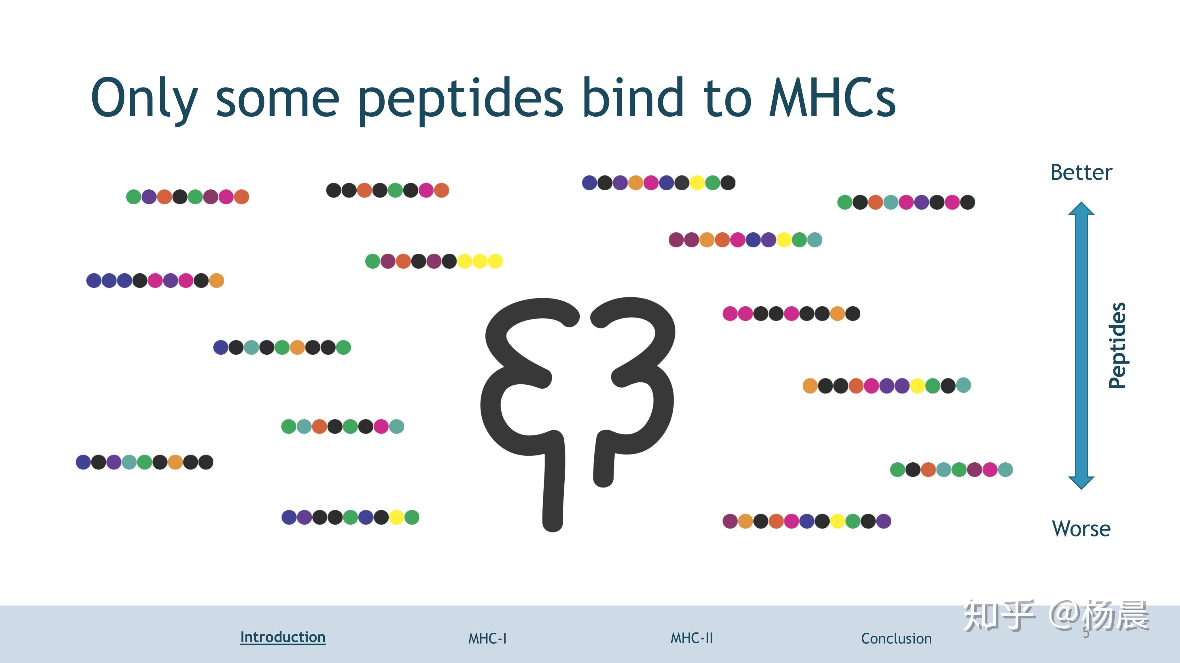MHC在肿瘤发展过程中的作用 - 知乎