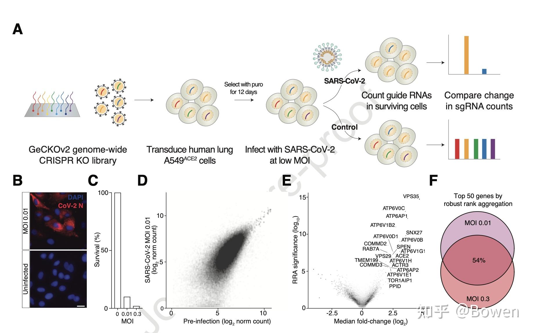 CRISPR-Cas9 Screen技术 - 知乎