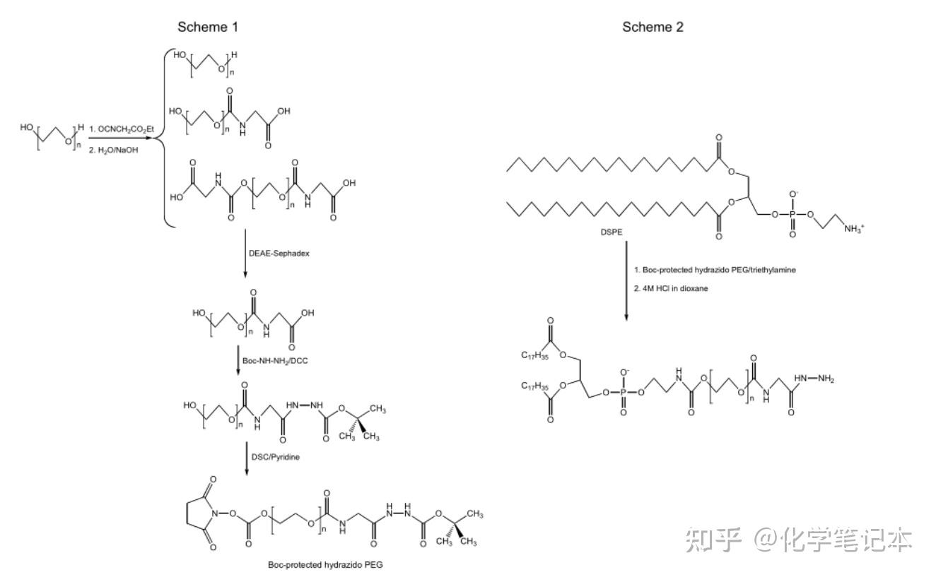 DSPE-PEG的结构与纳米载体性能之间的关系，以及DSPE-PEG及其衍生物在给药系统中的最新进展 - 知乎