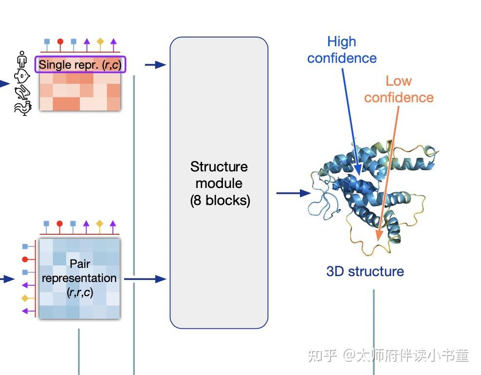 GoDeep系列（十）：AlphaFold 2模型结构拆解（框架） - 知乎