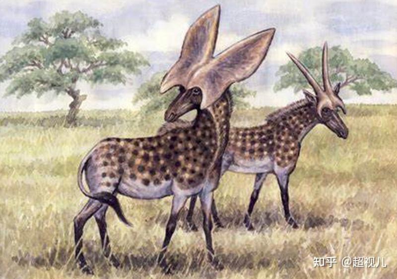 新近纪——人科动物现身 - 知乎