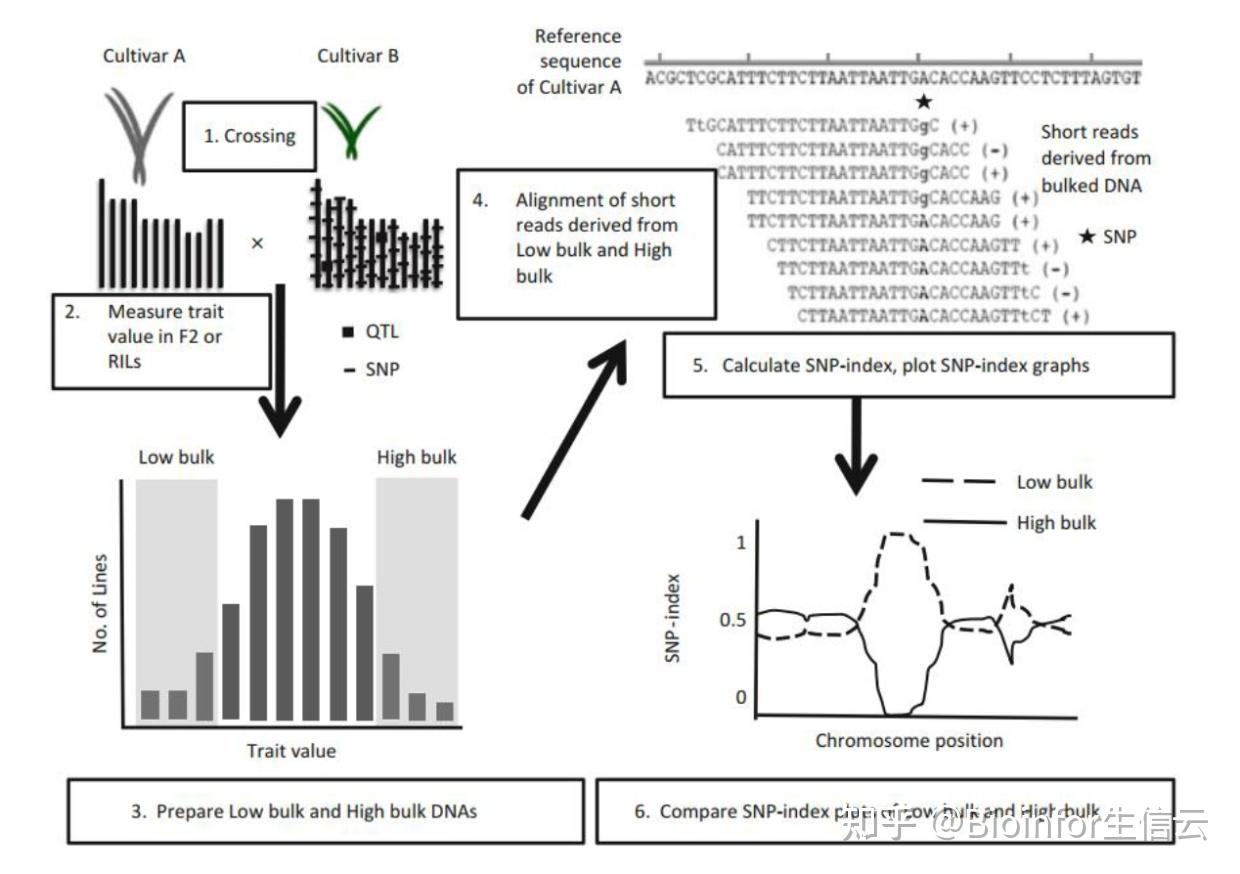 BSA分析（一）背景介绍 - 知乎