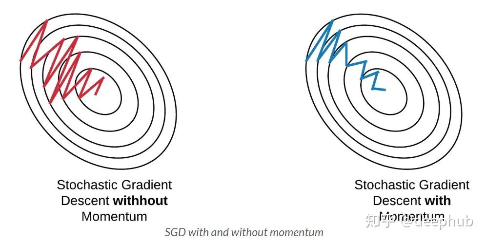 SDG,ADAM,LookAhead,Lion等优化器的对比介绍 - 知乎