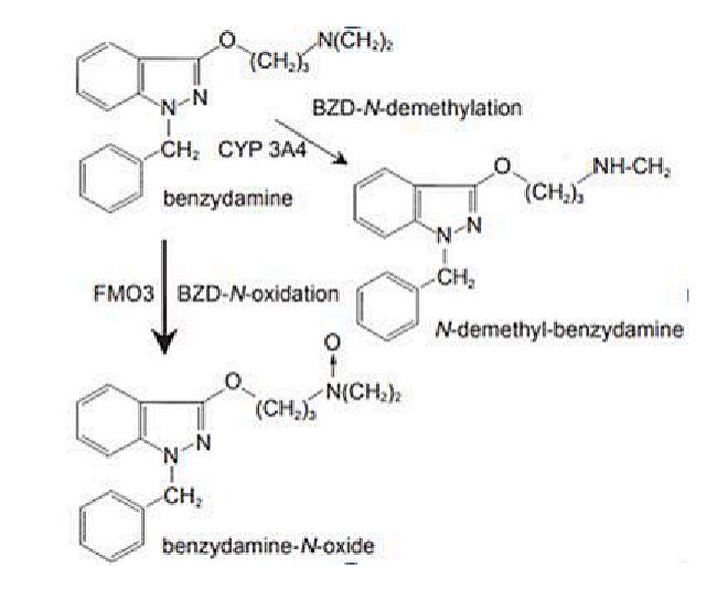 Non-P450酶介导的代谢研究和体外评估策略 - 知乎