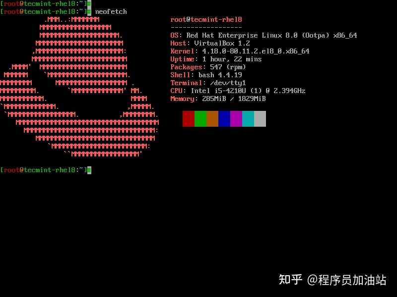 2024 年最受欢迎的 11 款 Linux 版本 - 知乎