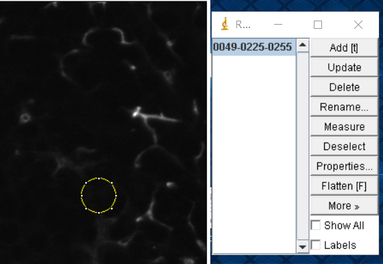 如何用ImageJ做出这种酷炫动画 - 知乎