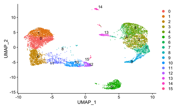 🤫 Seurat | 强烈建议收藏的单细胞分析标准流程（经典归一化与降维方法）（二） - 知乎
