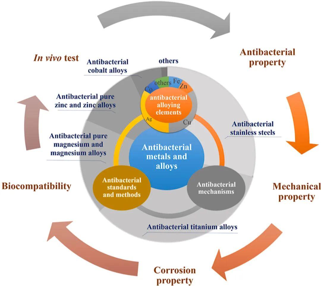 【Bioact. Mater.】用于潜在生物医学植入物的抗菌金属和合金 - 知乎