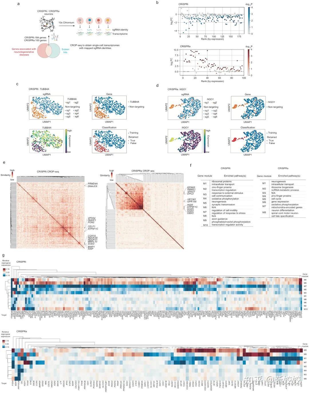 小白课堂 | 单细胞CRISPR筛选 - 知乎
