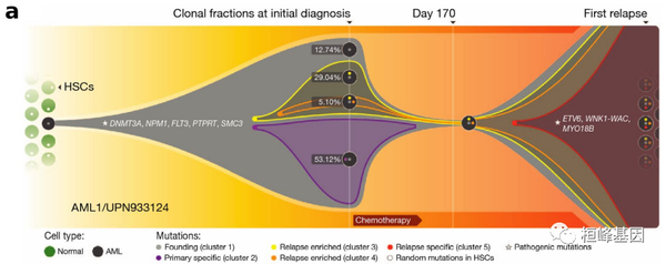 Topic 3. 克隆进化之 fishplot - 知乎