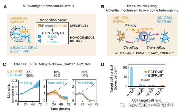 CAR-T实体瘤治疗挑战重重，TissueFAXS Cytometry技术如何助力？ - 知乎
