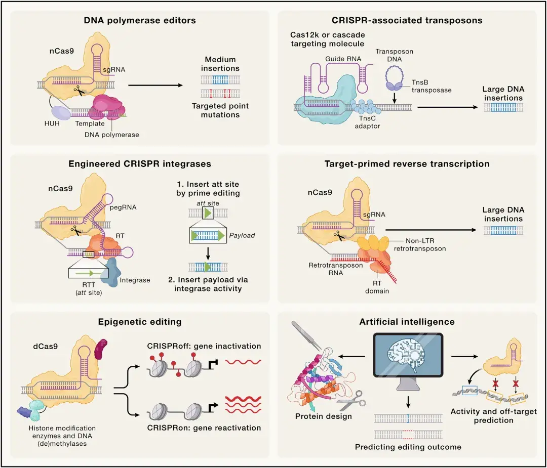 【知识窗】Cell综述：CRISPR基因组编辑技术的历史演进、现状与未来展望 - 知乎