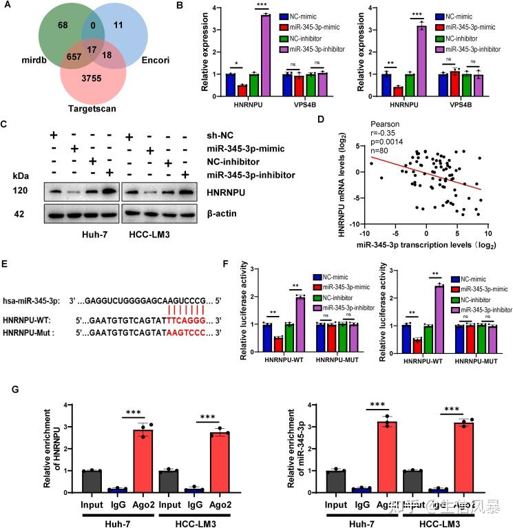 8+新型促癌lncRNA的生信思路 - 知乎