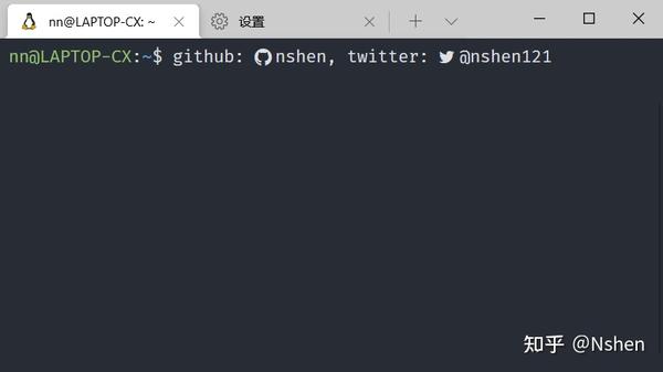 在 Windows Terminal 与 WSL 2 下安装 Neovim - 知乎