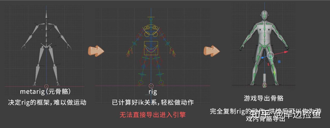 Blender Rigify使用基础指南 （含Rigify——游戏引擎工作流） - 知乎