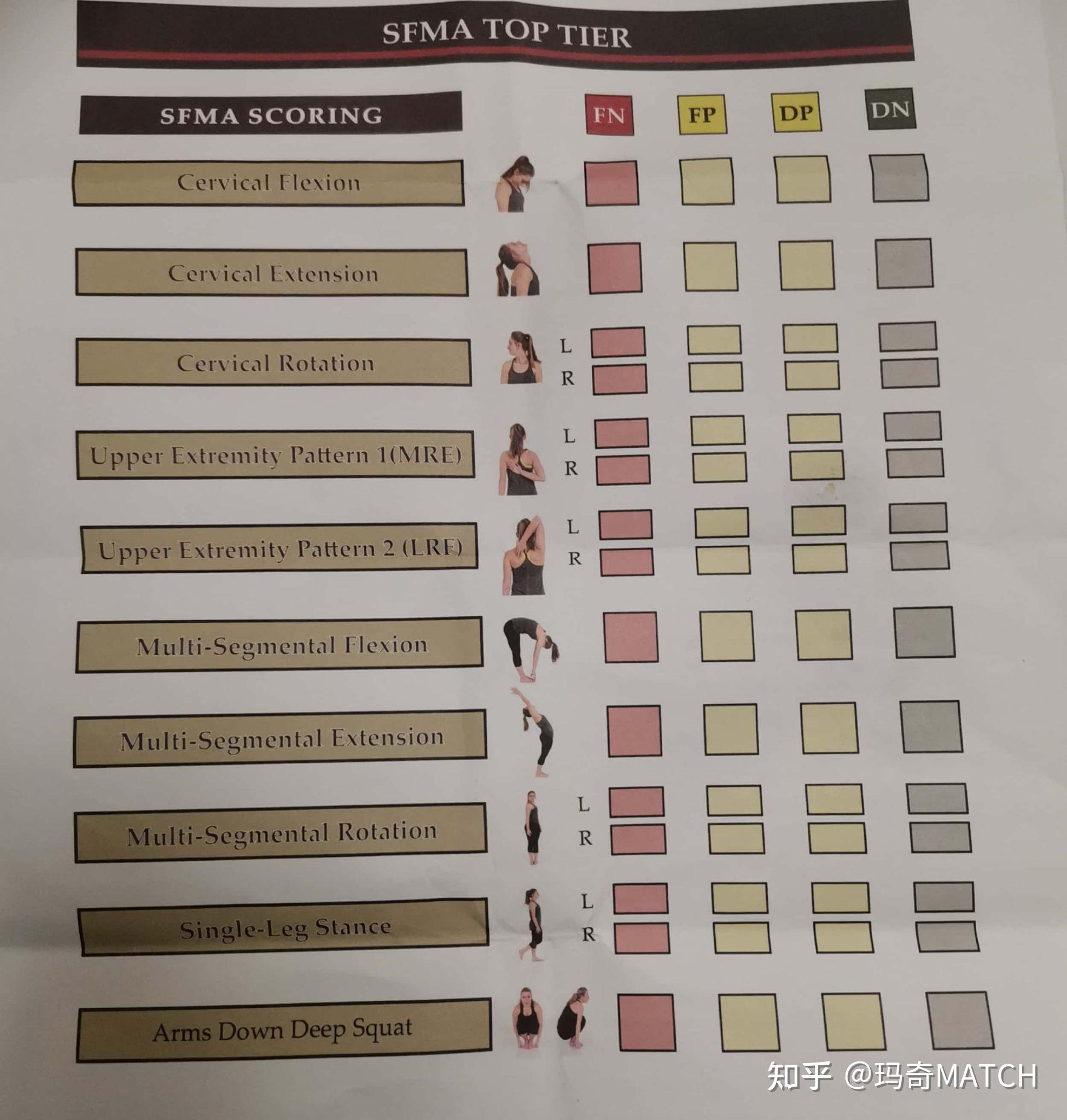 康复治疗读书笔记（FMS/SMFA） - 知乎