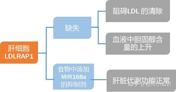 什么是microRNA？它的发现和研究进展对生物医学界有何重大意义？来一起看一看吧！ - 知乎