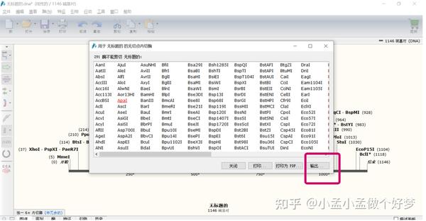 同源重组法构建质粒图谱 - 知乎