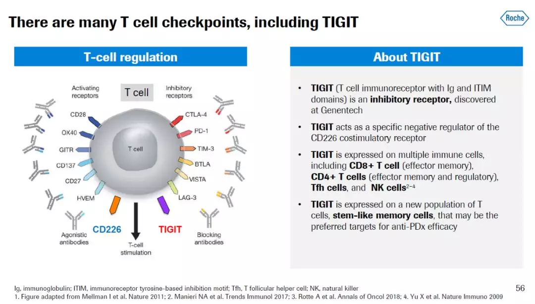 干货！基因泰克的研发策略和早期研发管线 - 知乎