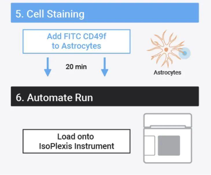 IsoPlexis最新推出人星形胶质细胞的单细胞功能分析方案：助力神经科学研究 - 知乎