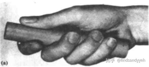 手的运动形式及其启示 - 知乎