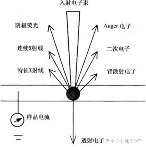 电子探针（EPMA）分析原理 - 知乎