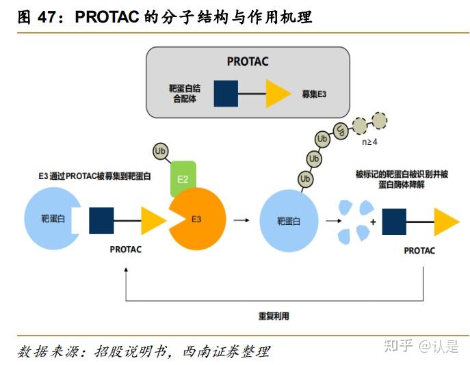 海创药业研究报告：PROTAC和氘代技术先锋，首款新药NDA在即 - 知乎