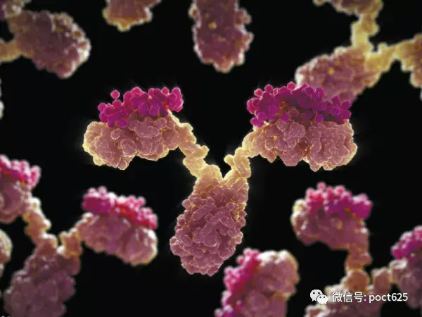 抗体lgM、lgE、lgM、lgA、lgD的区别和临床意义对比介绍 - 知乎